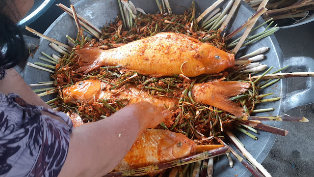 Resep Arsik Ikan Mas Khas Medan Pohon Ketela