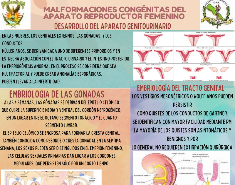 Malformaciones Congénitas Del Aparato Reproductor Femenino