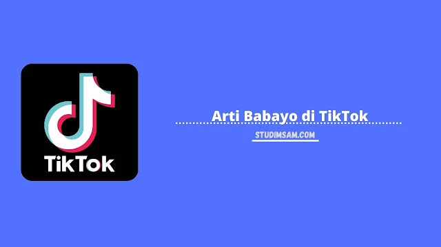 Arti Babayo Di Tiktok Dalam Bahasa Gaul Dan Bahasa Indonesia