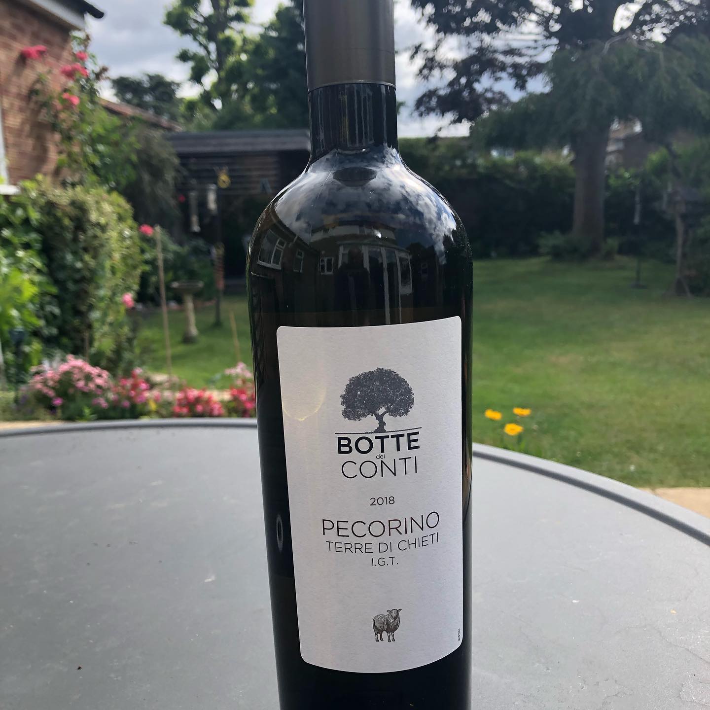 The Cambridge Wine Blogger Botte De Conti Pecorino Terre Di Chieti