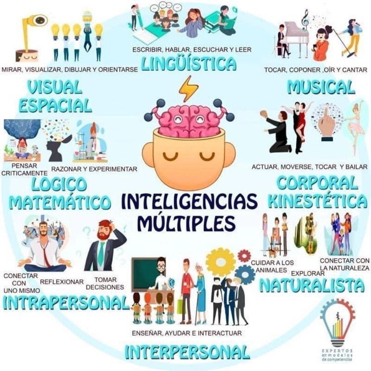 Las Ocho Inteligencias Múltiples Según Howard Gardner Med Tac