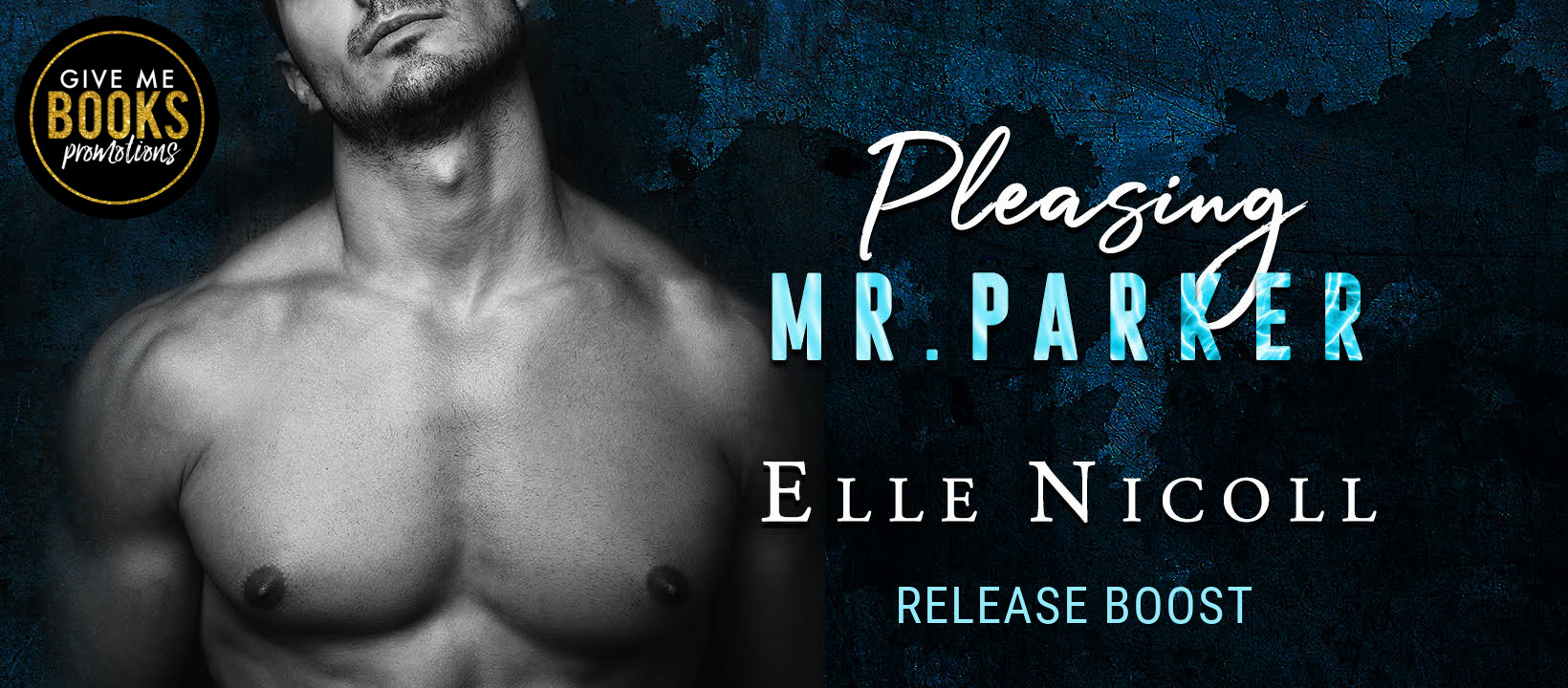 Pleasing Mr Parker By Elle Nicoll Sweets Books