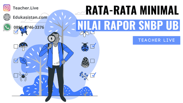 Rata Rata Nilai Rapor Snbp Ub 2024