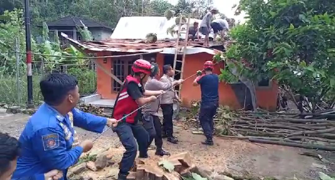 Angin Kencang Sebabkan Pohon Tumbang Timpa Rumah Di Bobotsari