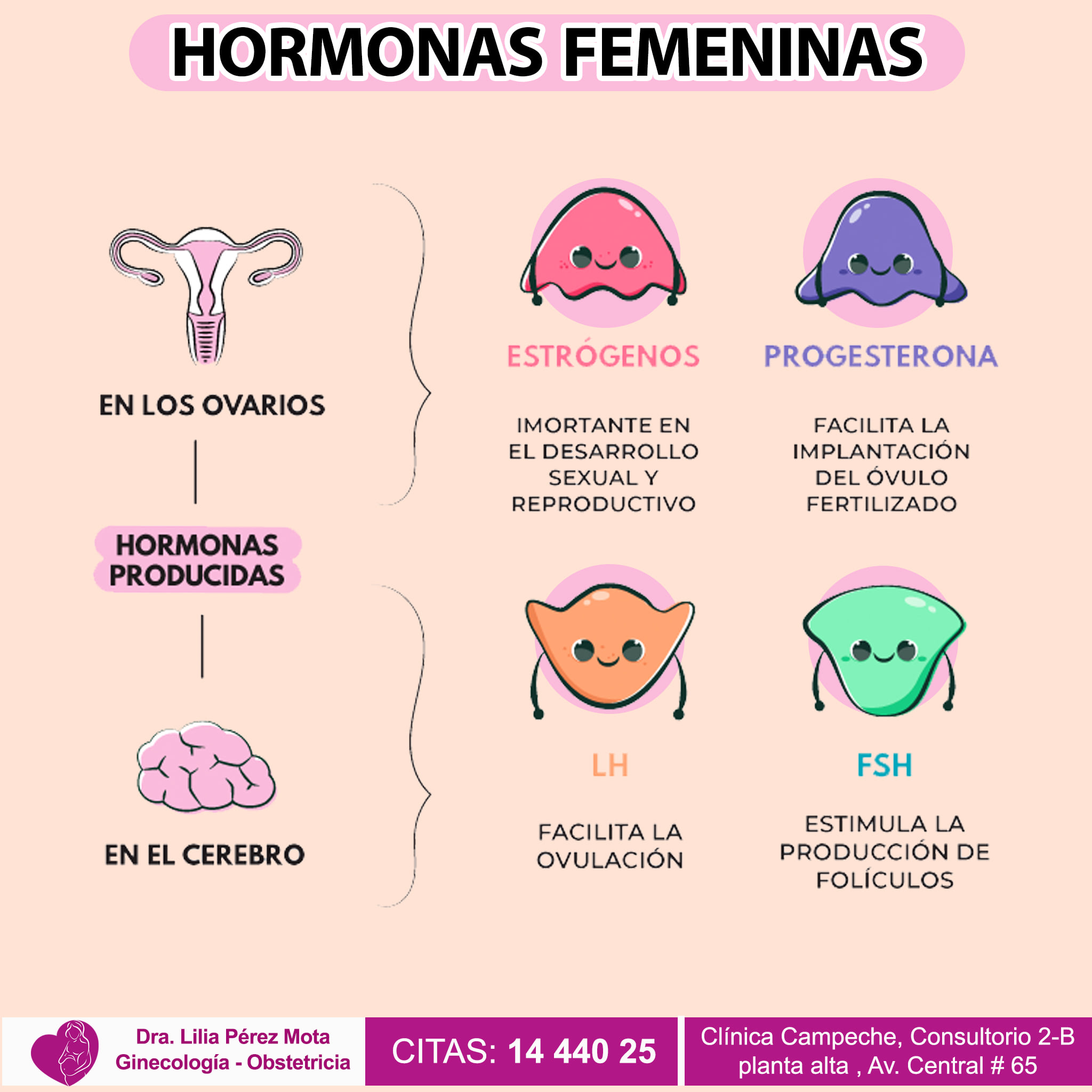 Tema 8estrógenos Progestinas Y Tracto Reproductor Femenino