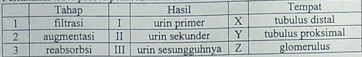 Perhatikan Tabel Proses Pembentukan Urin Berikut Ini Hubungan Yang