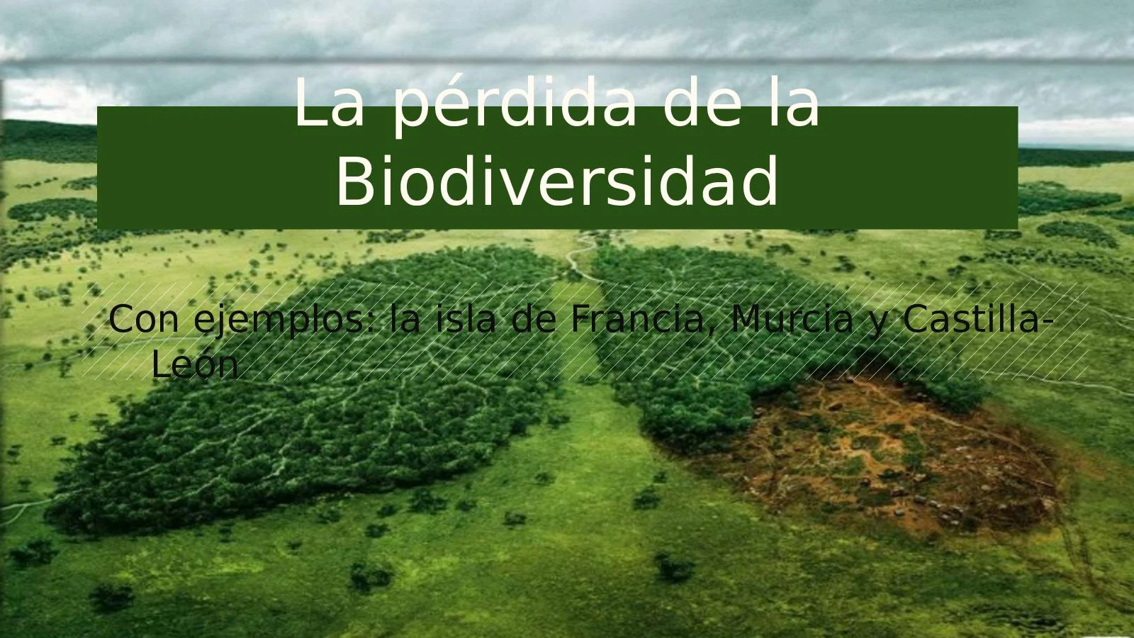 Efectos De La Pérdida De Biodiversidad