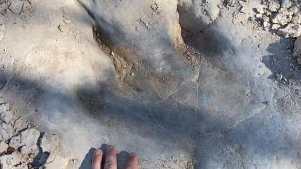 Viral Tapak Kaki Dinosaur Berusia 113 Juta Tahun Ditemui Selepas Air