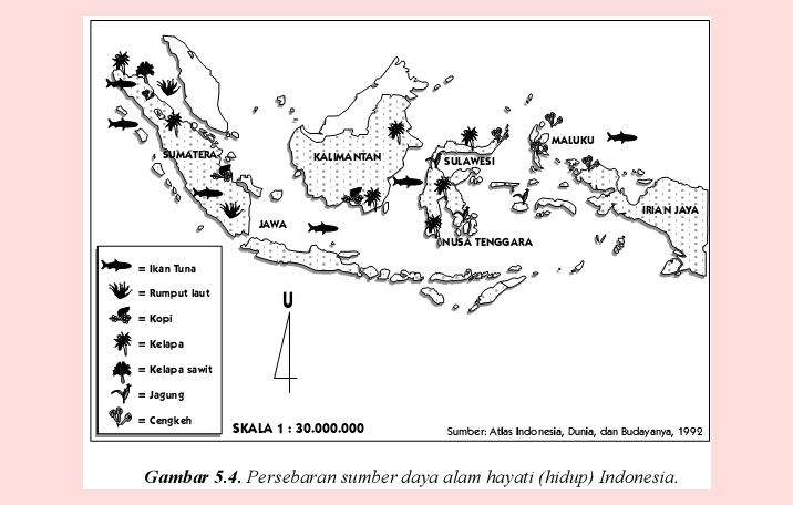 Gambar Peta Persebaran Ikan Di Indonesia