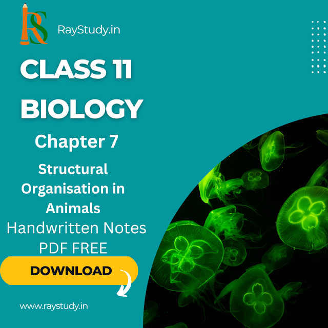 Class 11 Biology Chapter 7 Structural Organisation In Animals