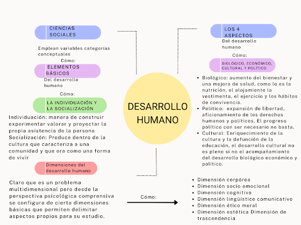 Características Elementos Dimensiones Y Aspectos Clave Del Desarrollo