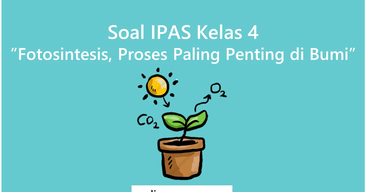 Soal Ipas Kelas 4 Fotosintesis Proses Paling Penting Di Bumi Diary Guru