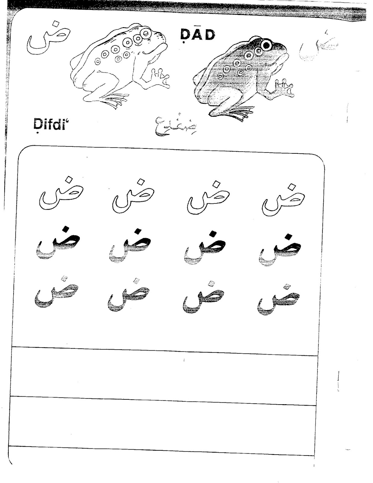 Islam And Muslims Real People Real Life Real Stories Arabic Alphabet