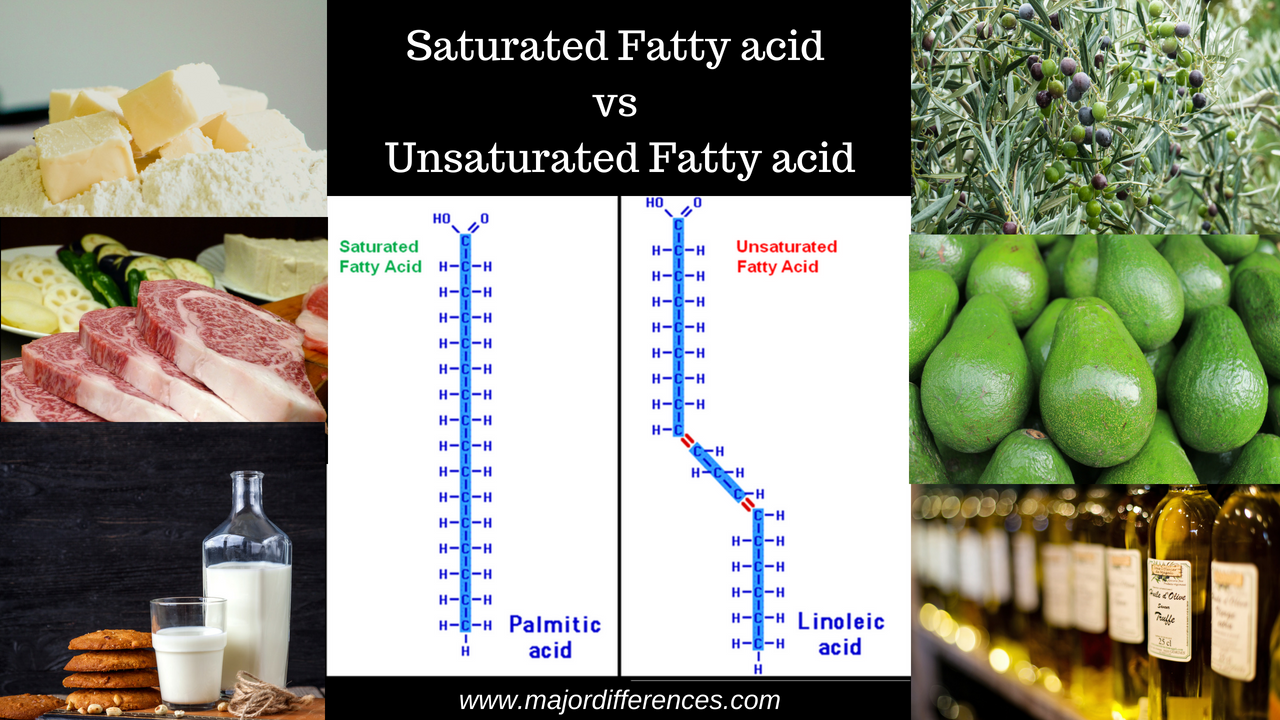 Difference Between Saturated And Unsaturated Fats Saturated Vs