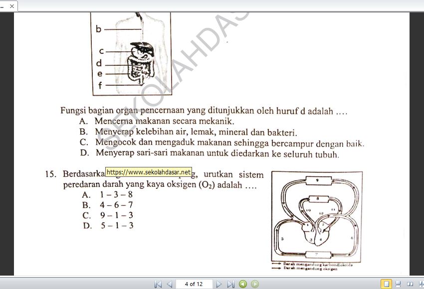 Ipa Kelas 8 Soal Latihan Sistem Pencernaan Manusia Kelas Pintar