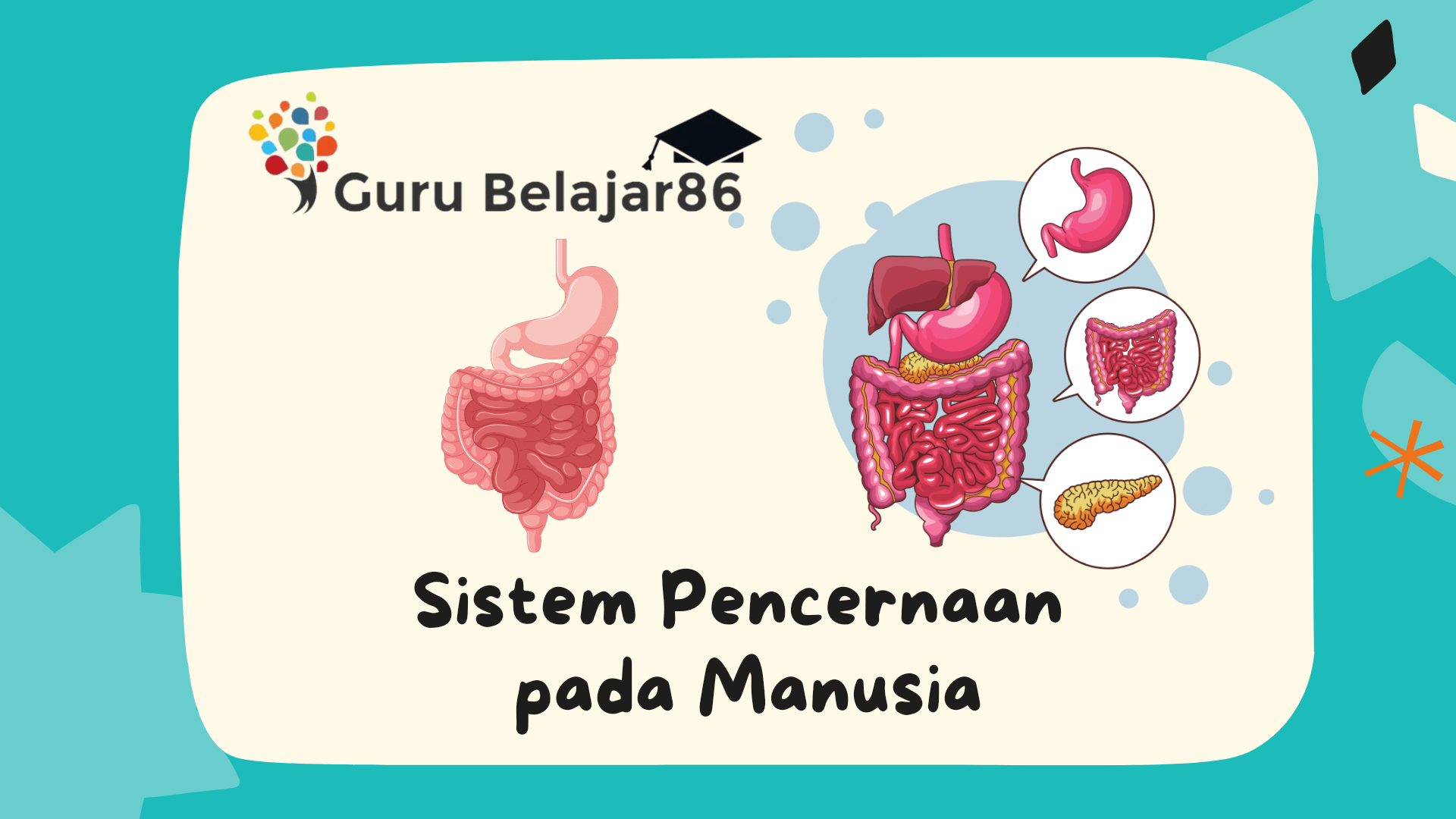 Sistem Pencernaan Pada Manusia Materi Ipa Kelas 5 Guru Belajar86