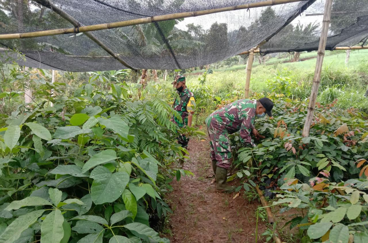 Hijaukan Kawasan Bandung Utara Sektor 22 Citarum Harum Sub 17 Rutin