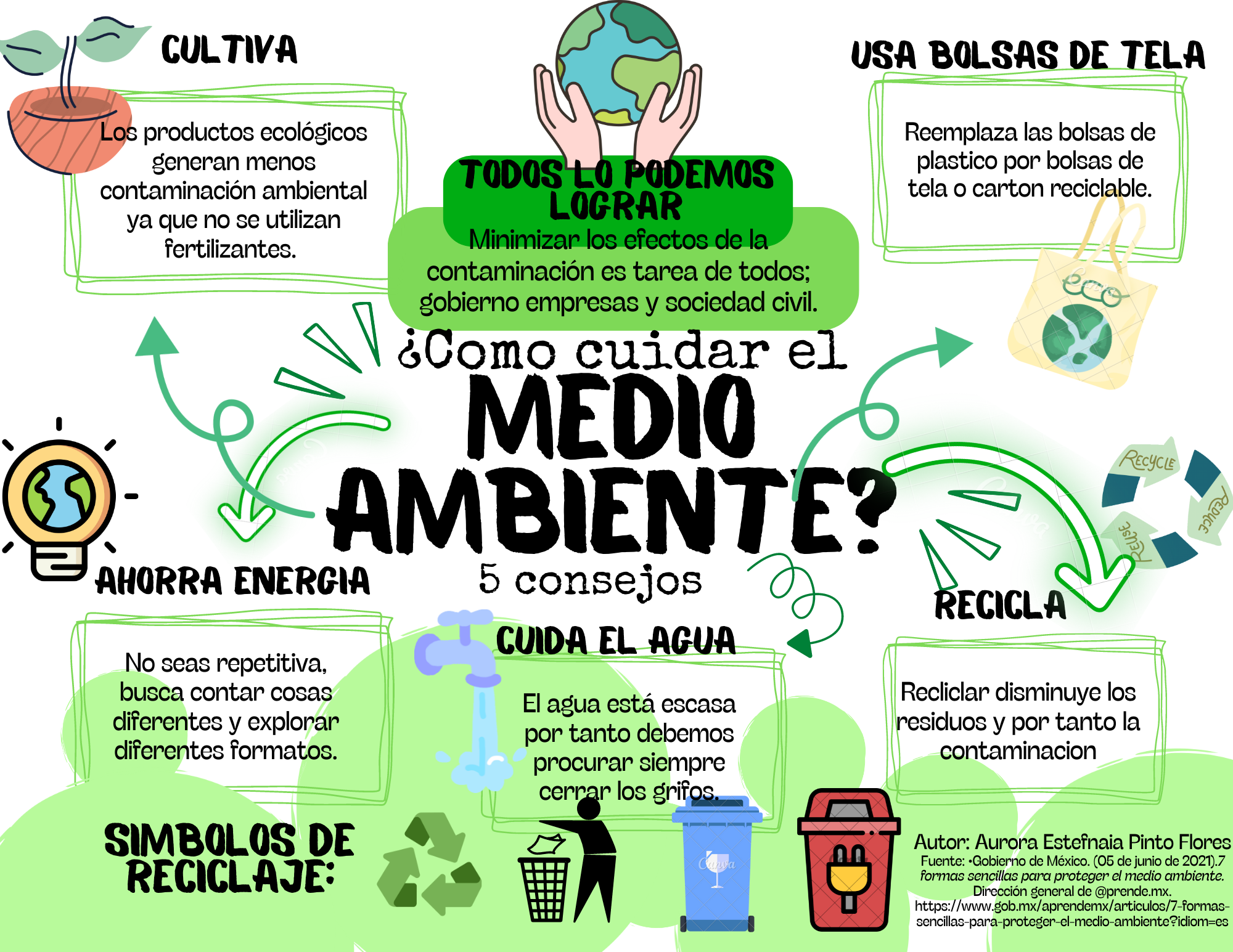 Ecología Infografía Medio Ambiente