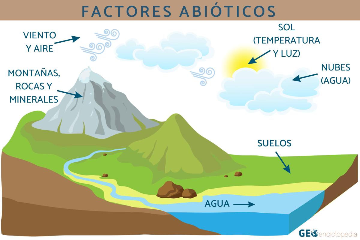 Los Ecosistemas Factores Bióticos Y Abióticos