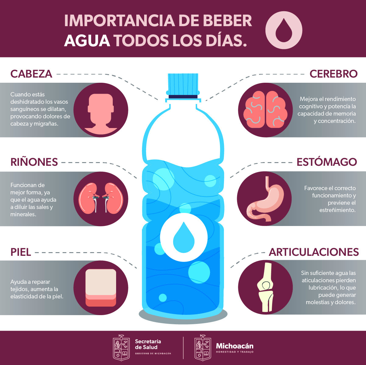 Conoce Los Beneficios De Beber Agua Todos Los Días Para Tu Organismo