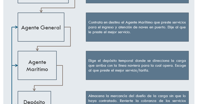 Infografía Nº 14 Los Operadores De Comercio Exterior En Las