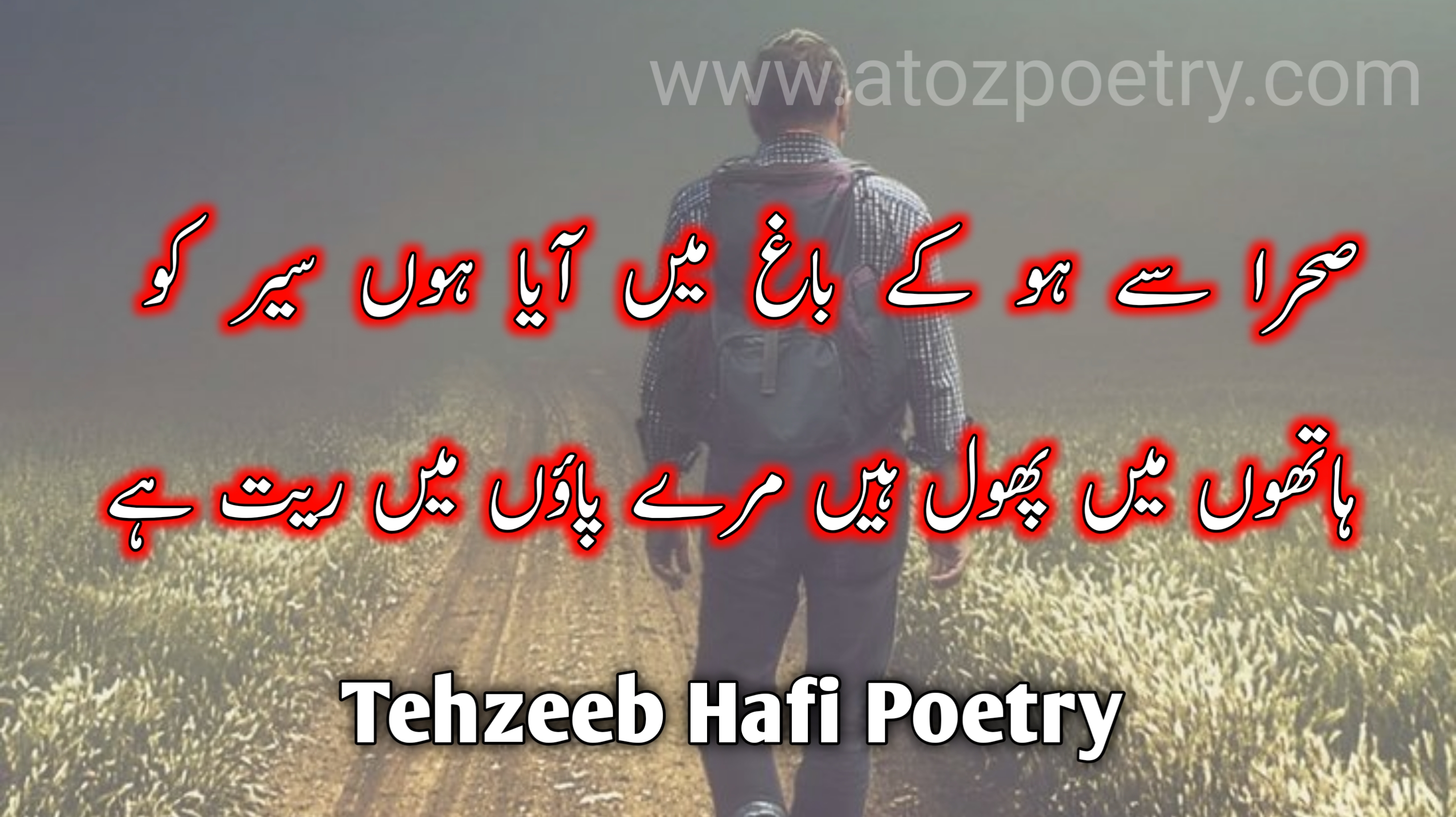 Best Tehzeeb Hafi Poetry In Urdu 2 Lines Sms Ghazals With Images