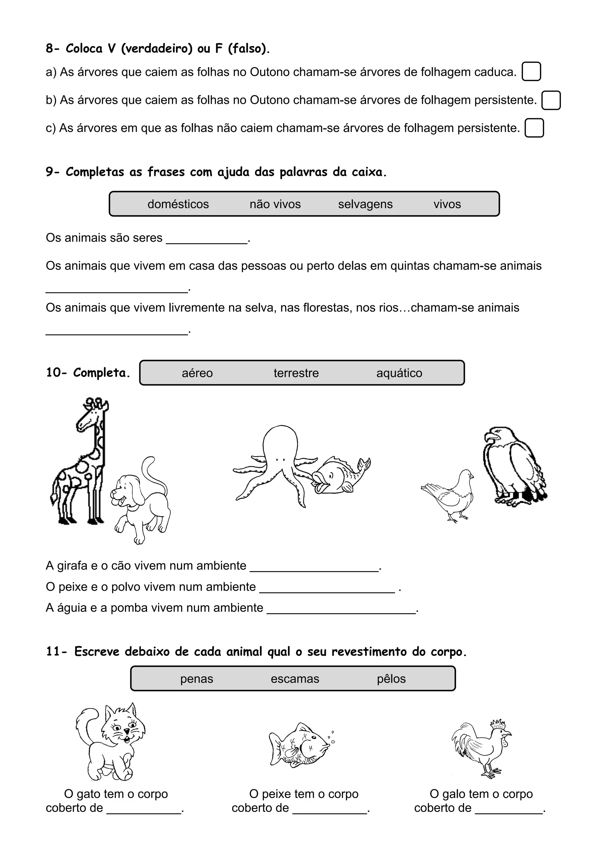 Ficha De AvaliaÇÃo De Estudo Do Meio 2º Ano