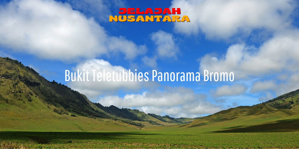 Spot Panorama Savana Bukit Teletubbies Wisata Gunung Bromo Yang Hijau