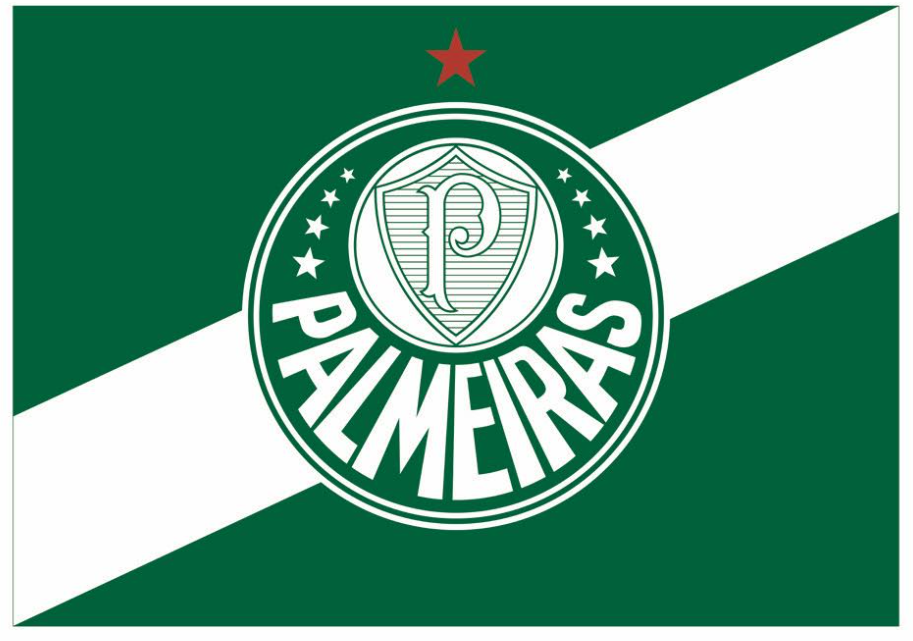 Blog De Geografia Bandeira Oficial Do Palmeiras