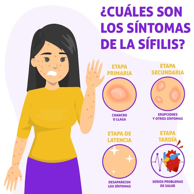 Etapas De La SÍfilis Infografias