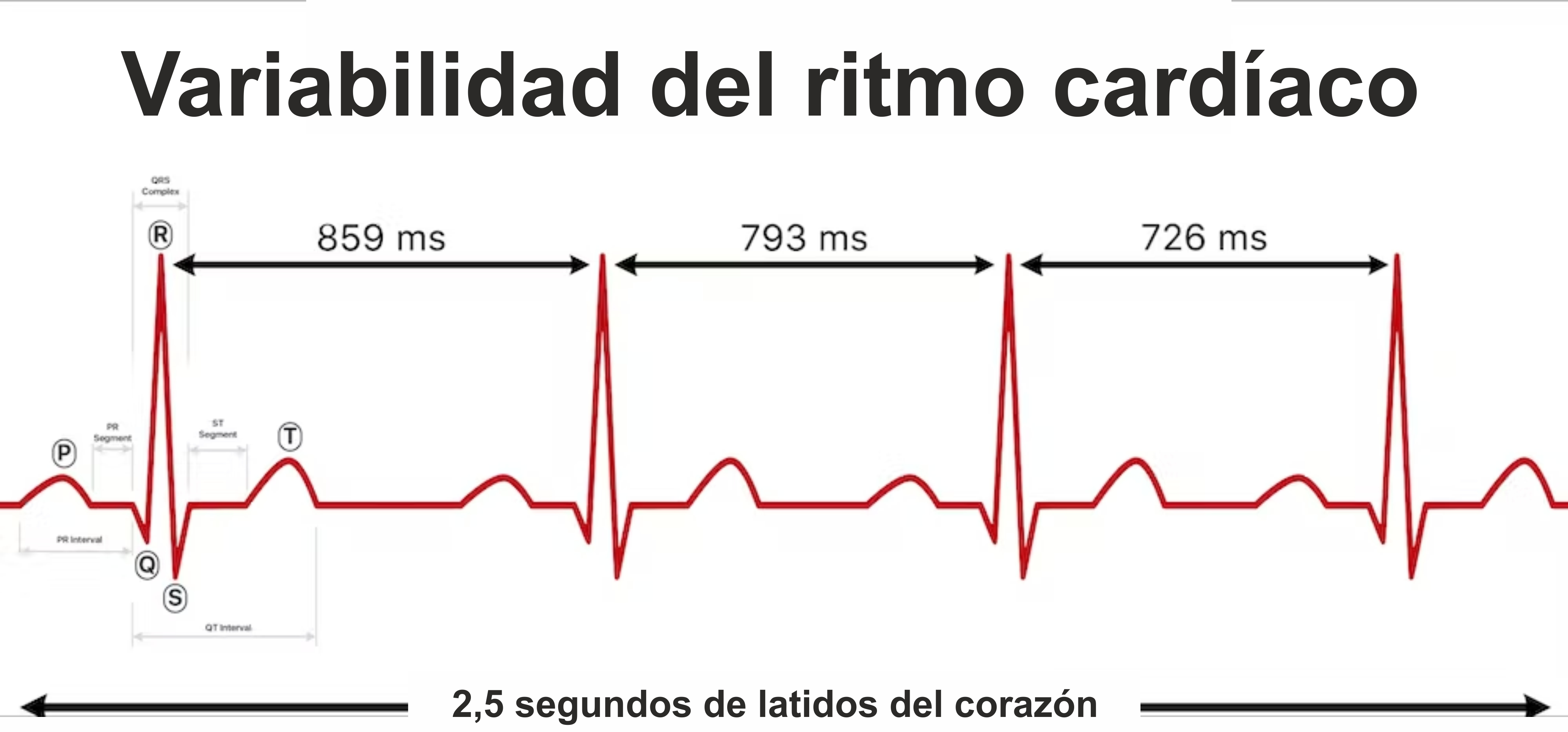 Vida Saludable Variabilidad De La Frecuencia Cardíaca Lo Que Debe