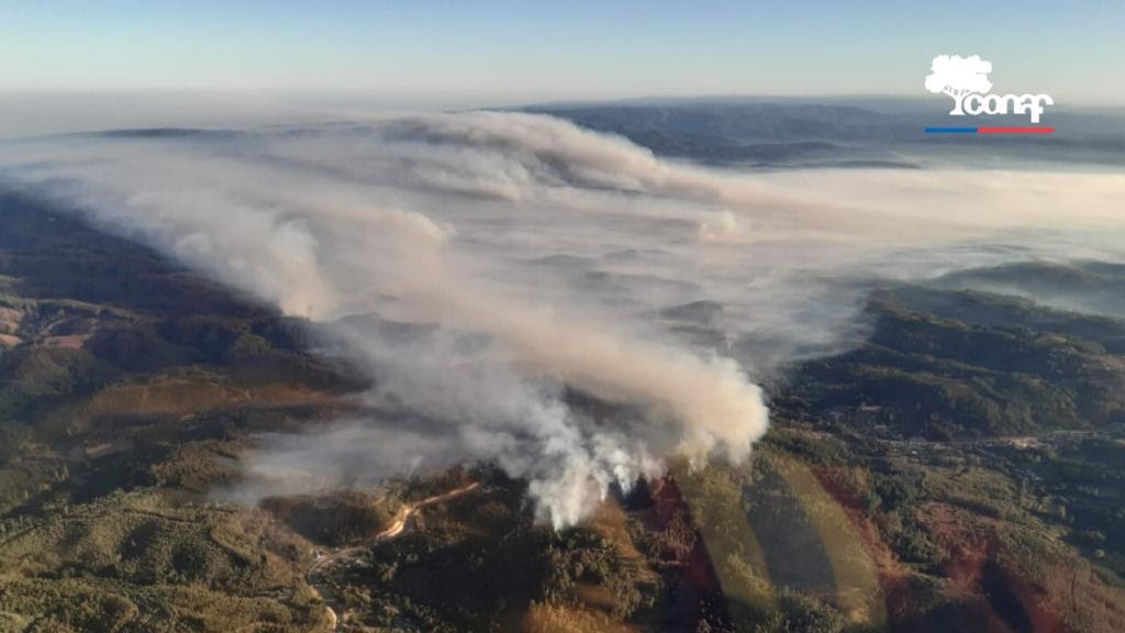 Tomé Al Día Incendio Forestal En Florida Y Hualqui Afectó A Más De 2