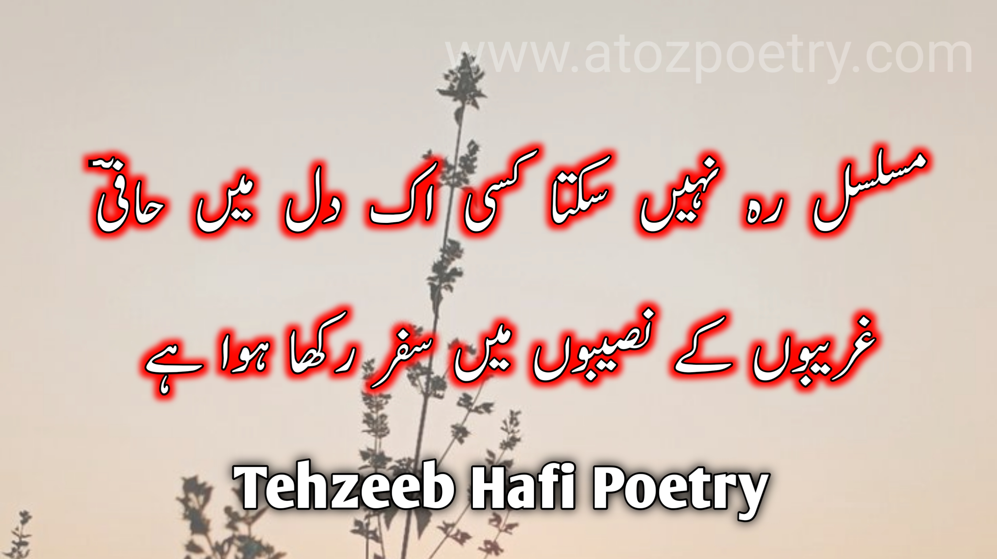 Best Tehzeeb Hafi Poetry In Urdu 2 Lines Sms Ghazals With Images