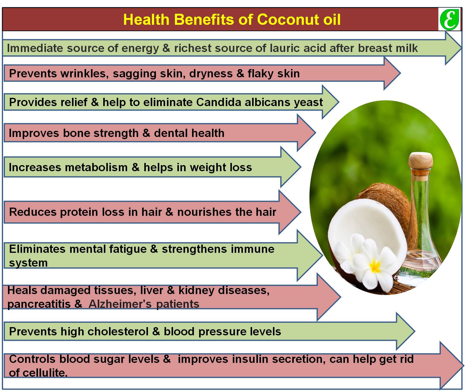 Evergreen Health Benefits Of Coconut Oil