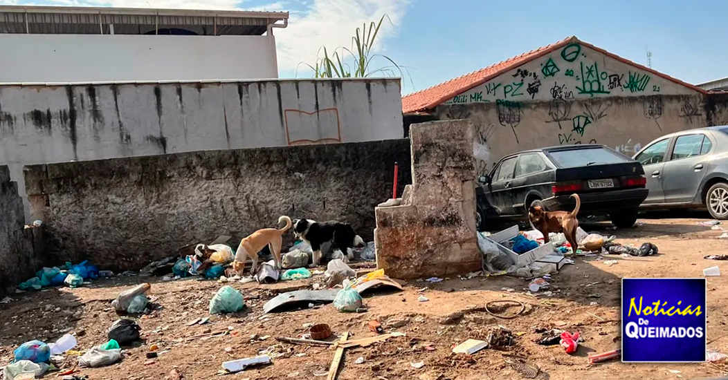 Moradores Denunciam Falta De Coleta De Lixo Em Queimados Empresa Tem