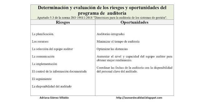 Determinación Y Evaluación De Los Riesgos Y Oportunidades Del Programa