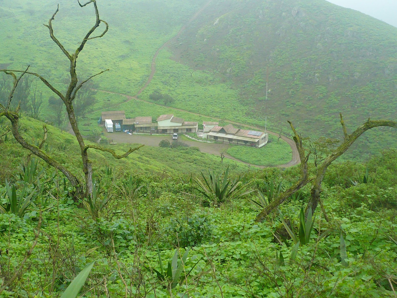 Imagenes Ethel Imagenes De Flora Y Fauna Peruana