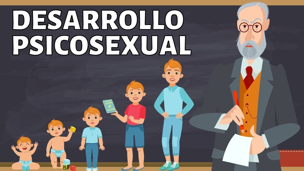 Las 5 Etapas Del Desarrollo Psicosexual De Freud ~ Psicología De La