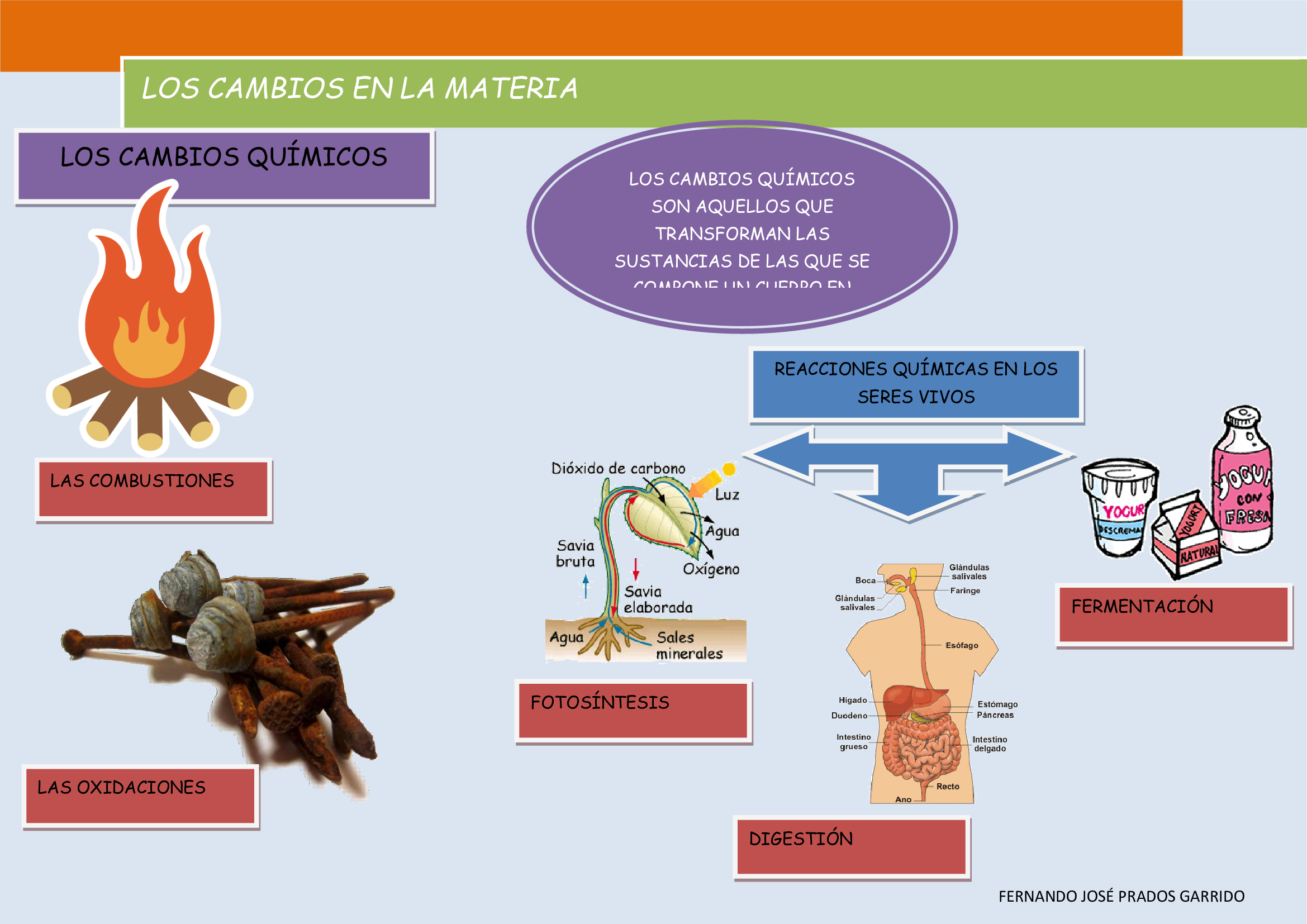 Recursos 5º Y 6º Ciencias Naturales Tema 7