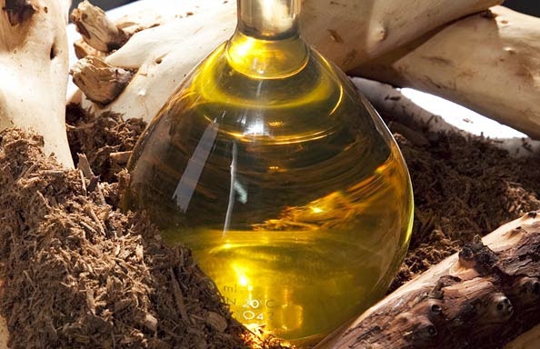 Kilian Sacred Wood Gurme Kokular Niş Parfüm Yorumları