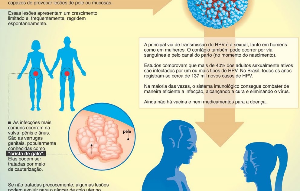 Blog Professor Robson InfogrÁfico Hpv