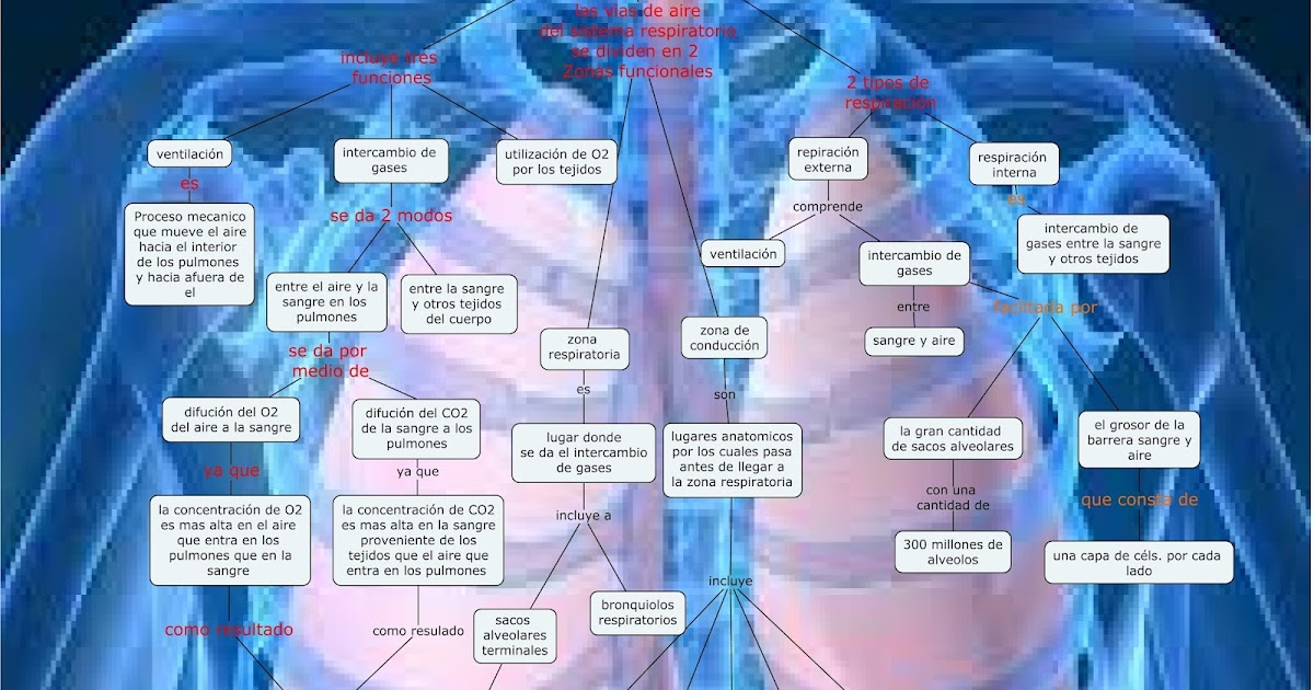 Blog De Evidencias De Fiosiologia Medica De Enoc Simons Generalidades