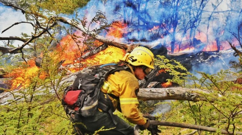 Incendio En Tierra Del Fuego 30 Brigadistas De La Comarca Andina