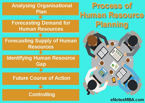 Steps In Process Of Human Resource Planning E Notes Mba