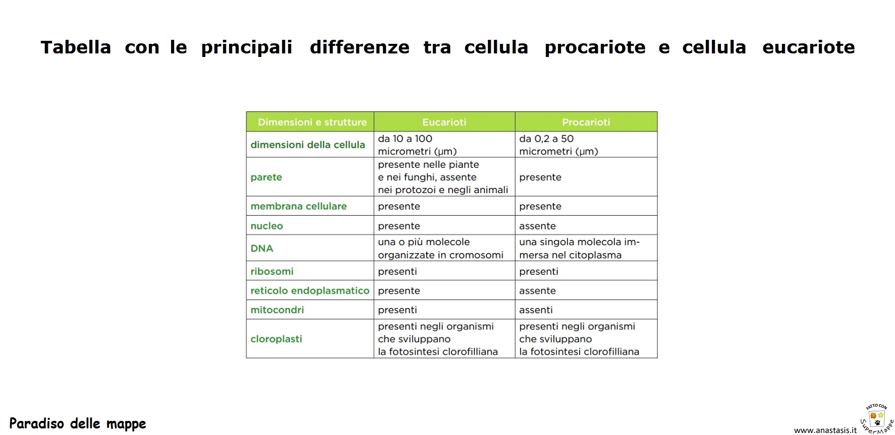 Paradiso Delle Mappe La Cellula Tabella Con Le Principali Differenze