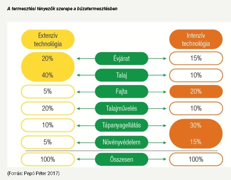 Gazda Praktikum Búzatermesztés