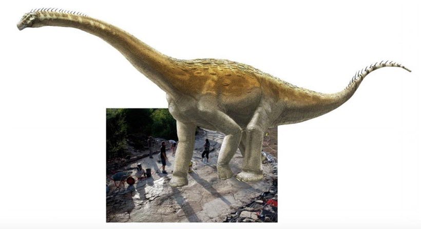 4 Gambar Tapak Kaki Dinosaur Yang Terpanjang Di Dunia