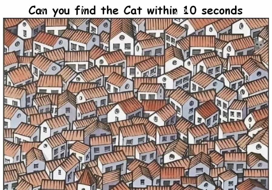 Find The Cat Within 10 Seconds Puzzles World