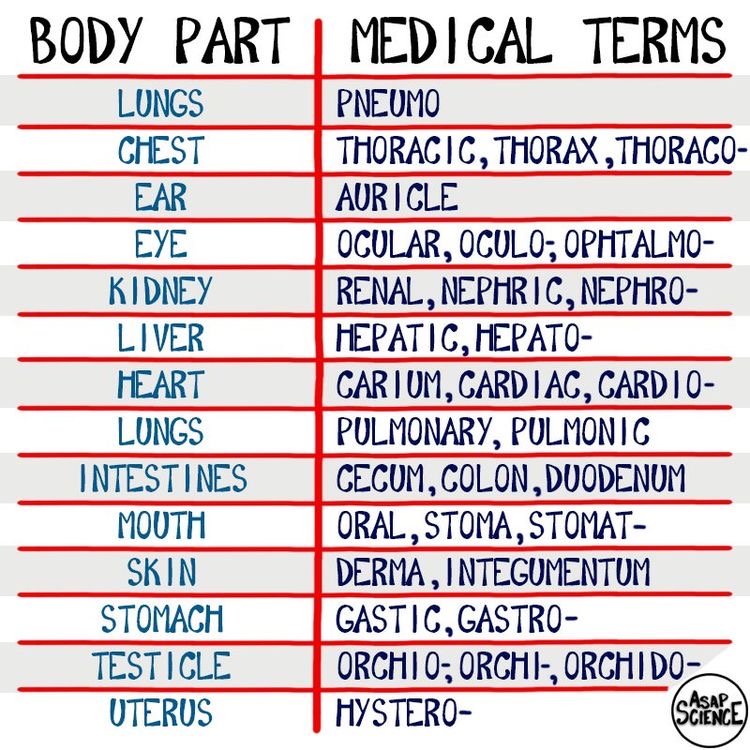 عالم طب الاسنان اهم الاختصارات المستخدمة في طب الاسنان Dental Acronyms