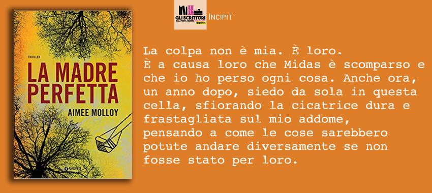 La Madre Perfetta Di Aimee Molloy Incipit